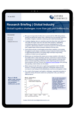 Global logistics challenges more than just port bottlenecks | Oxford ...