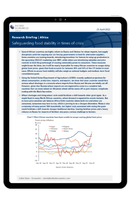 Africa safeguarding food stability in times of crisis - Oxford Economics
