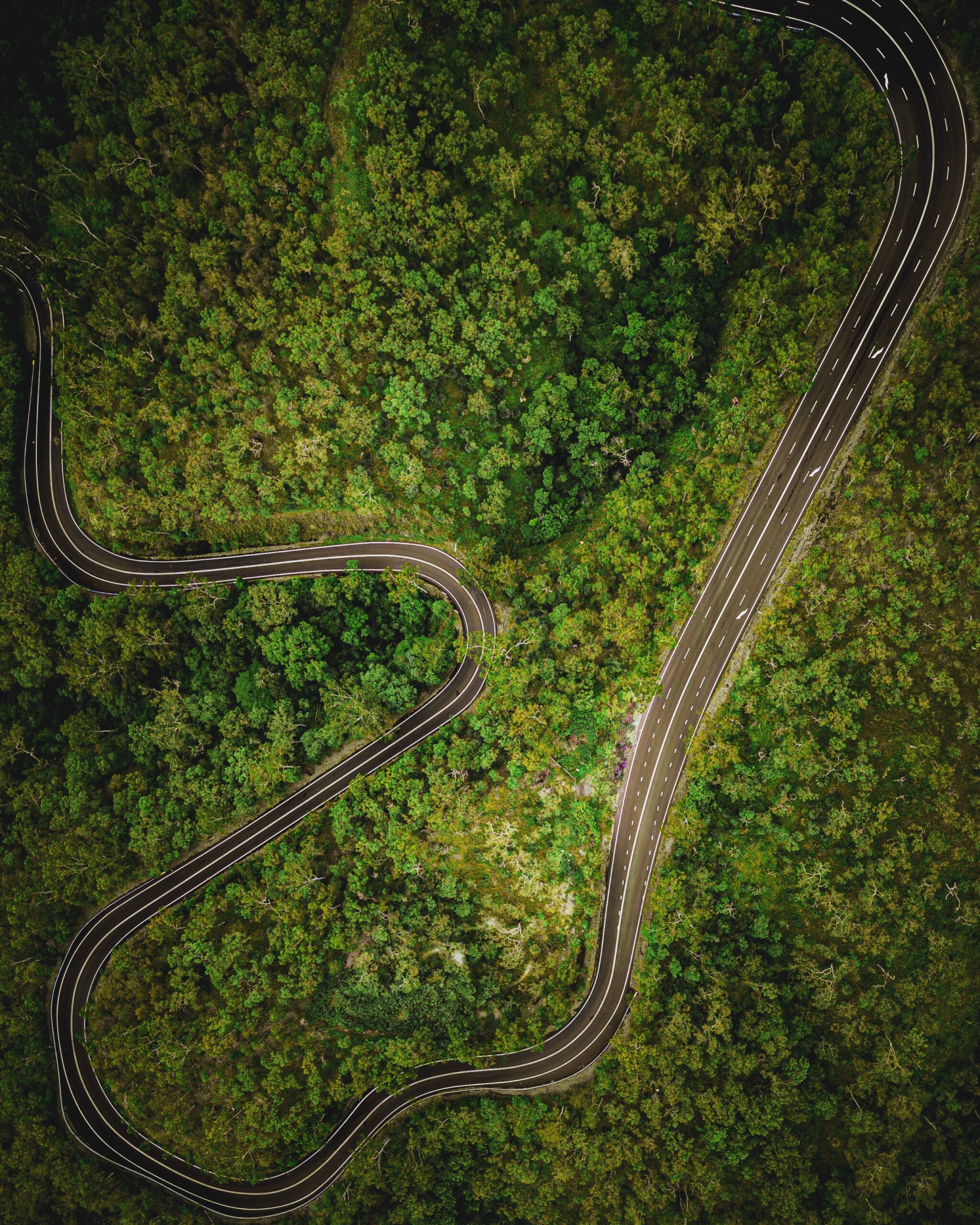 Austroads Workforce Capability Analysis and Strategies